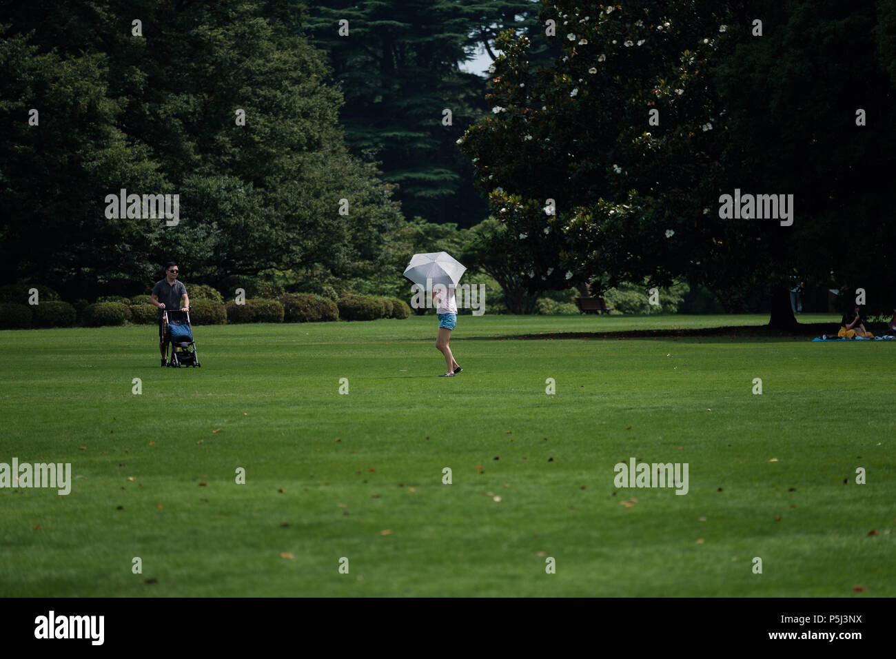 A couple enjoy sunny weather in Shinjuku Gyoen park in Shinjuku, Tokyo ...