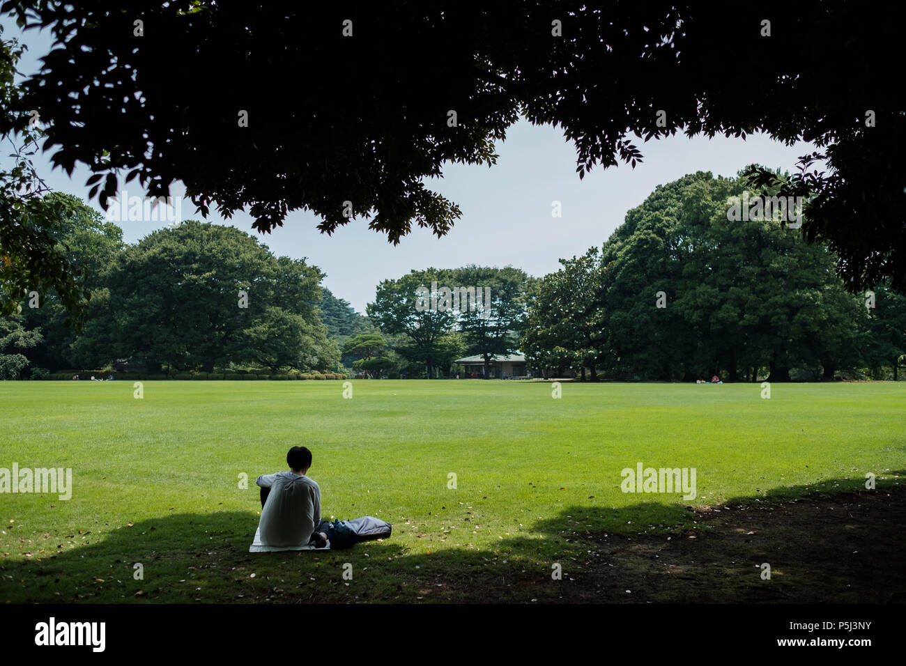 A lady reads under a sunny weather in Shinjuku Gyoen park in Shinjuku ...