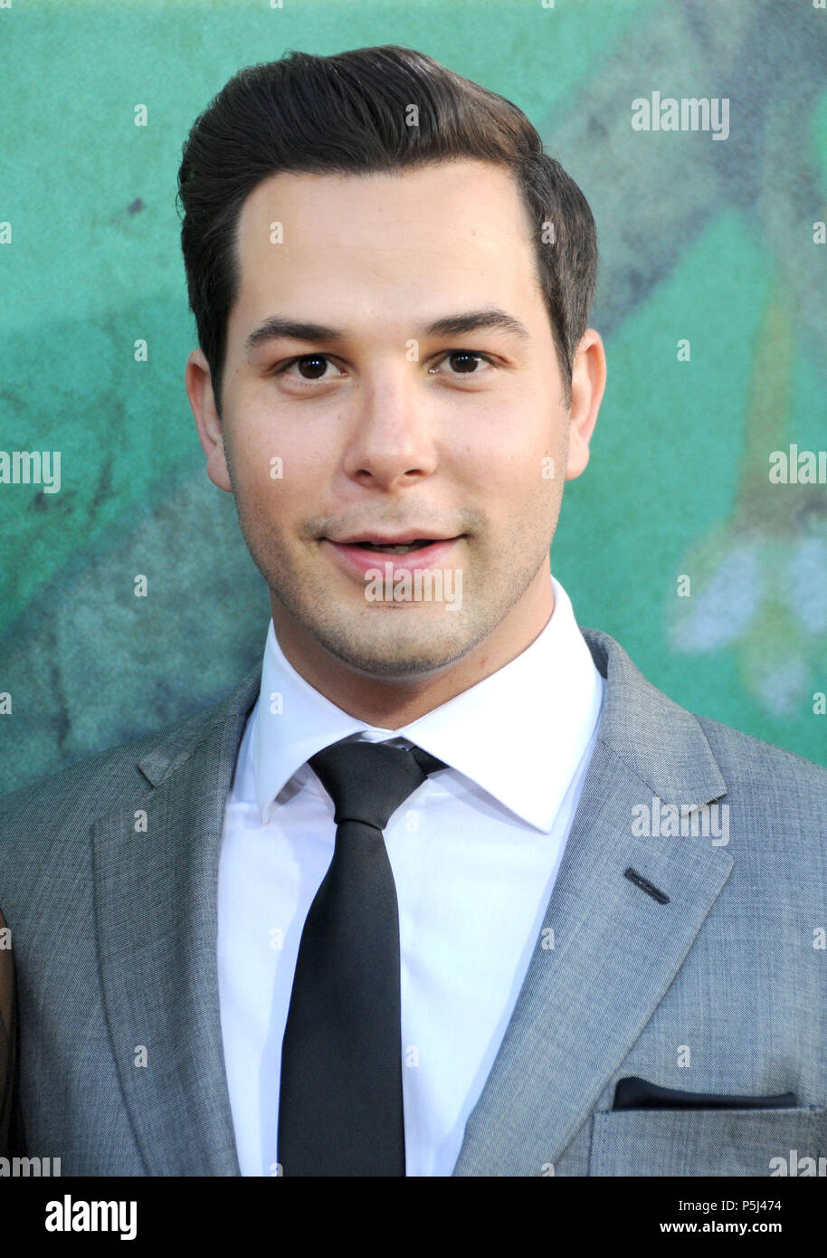 Los Angeles, USA. 26th Jun, 2018. Actor Skylar Astin attends HBO's ...
