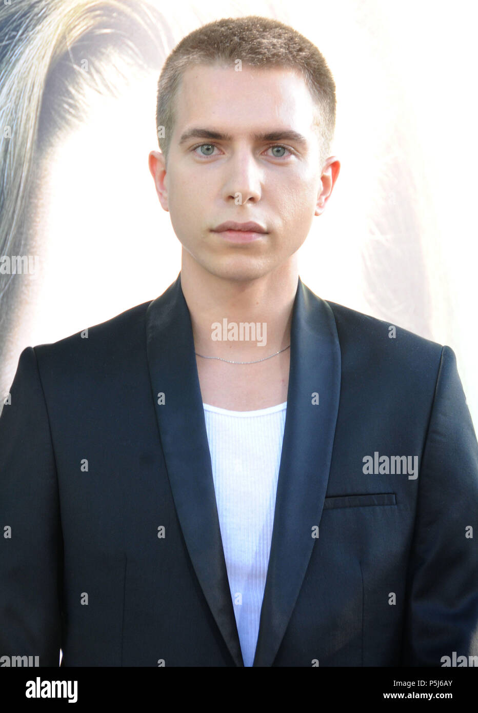 Los Angeles, USA. 26th Jun, 2018. Actor Aaron Holliday attends HBO's ...
