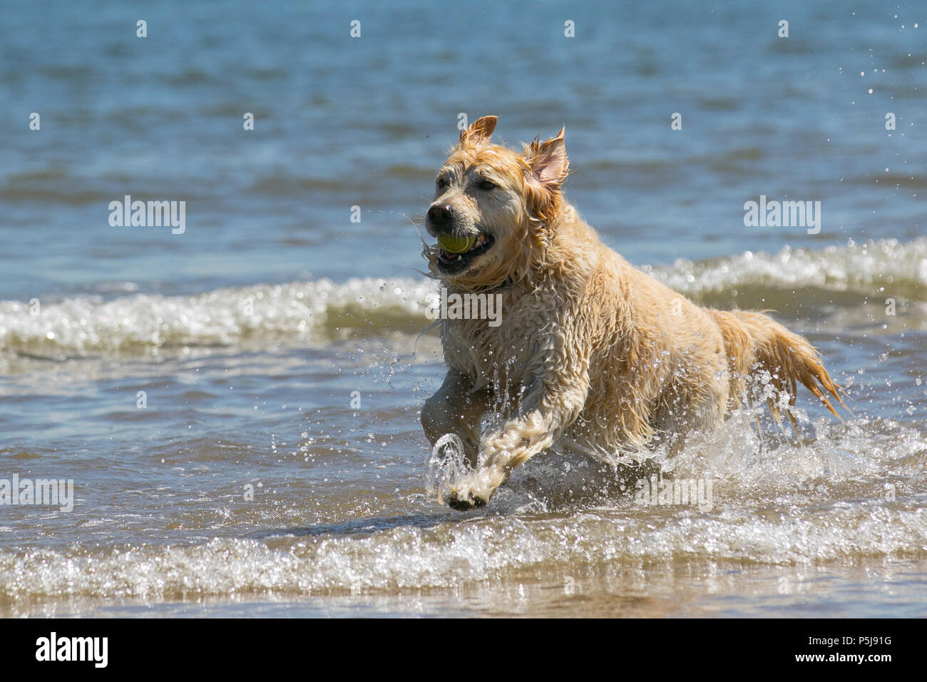 New brighton swimming pool hi-res stock photography and images - Alamy