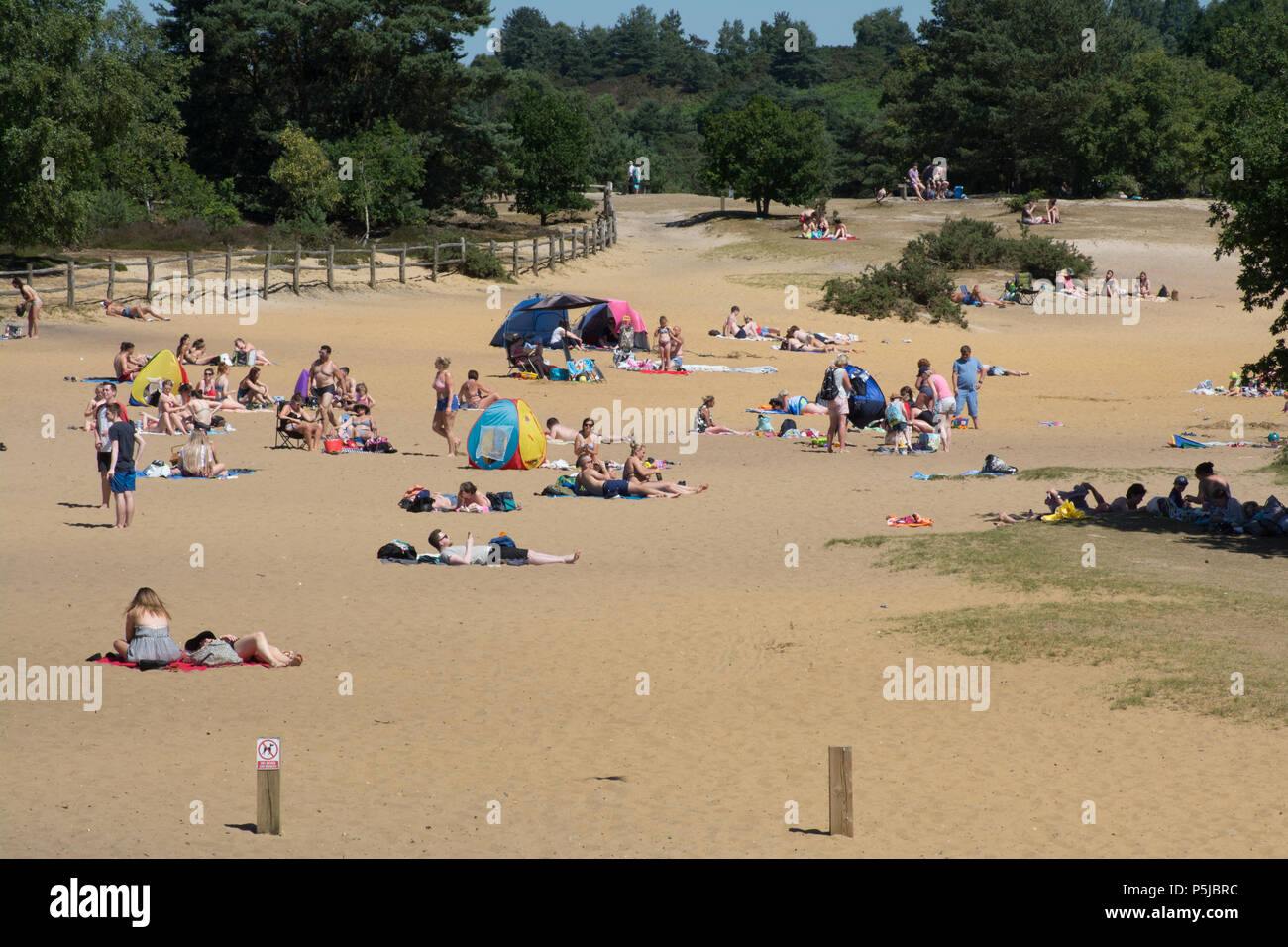 Frensham beach surrey uk hi-res stock photography and images - Alamy