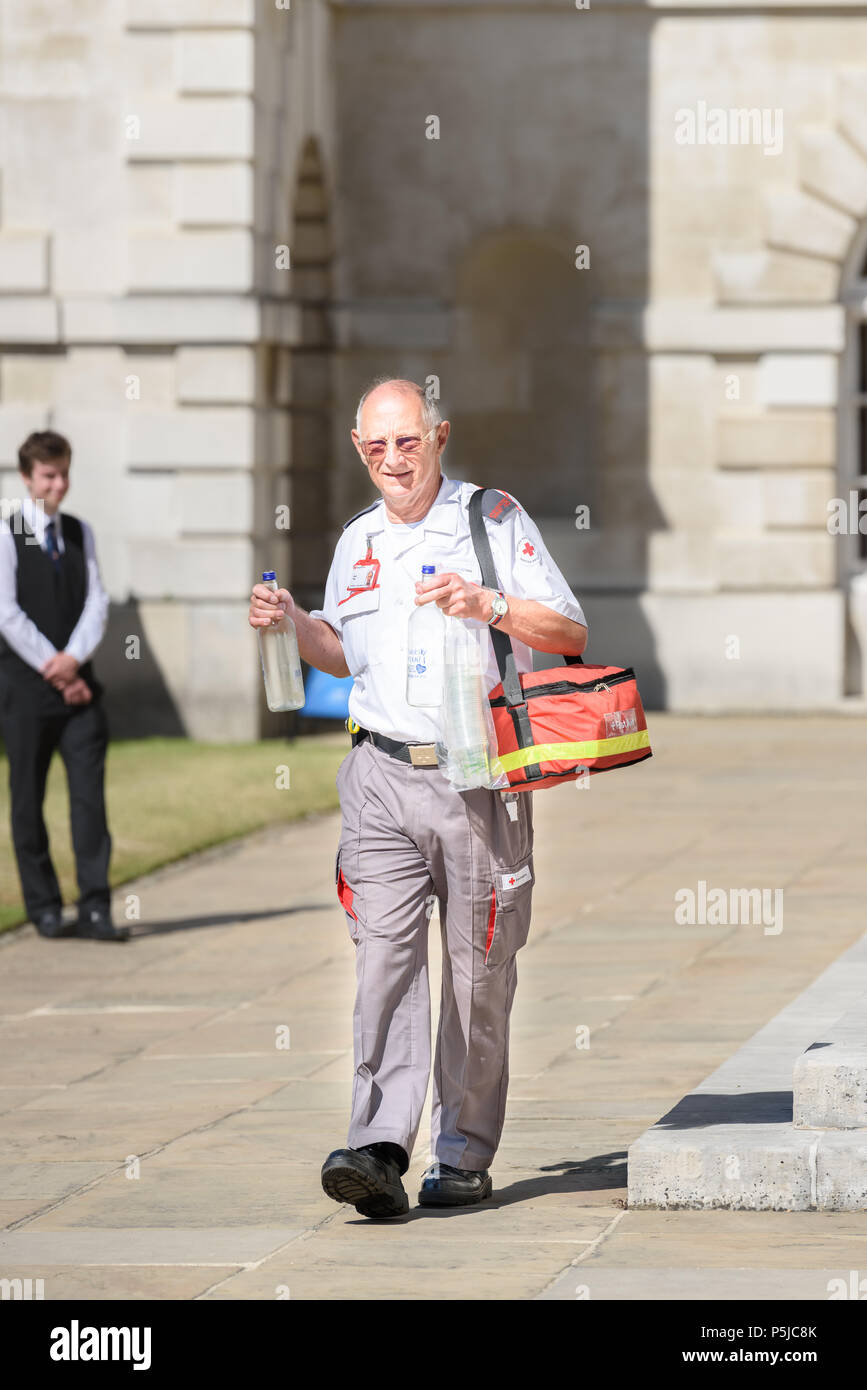 Aider hi-res stock photography and images - Alamy