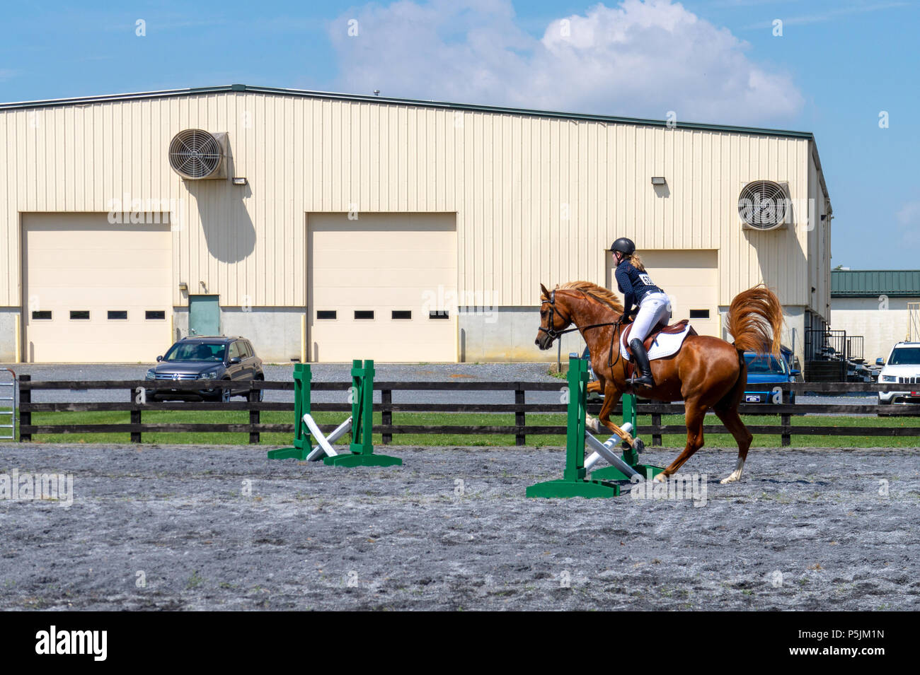 Jump Show Champion Stock Photo - Alamy