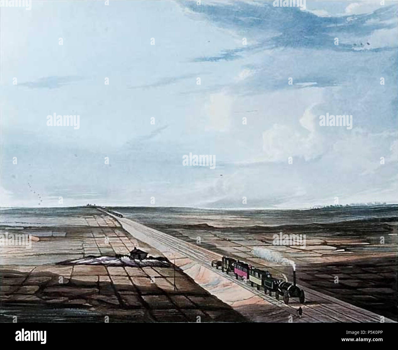 Chat moss hi-res stock photography and images - Alamy