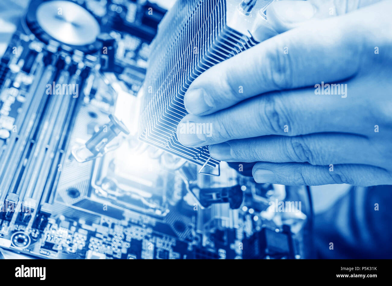 Hand installing the computer chip Stock Photo - Alamy