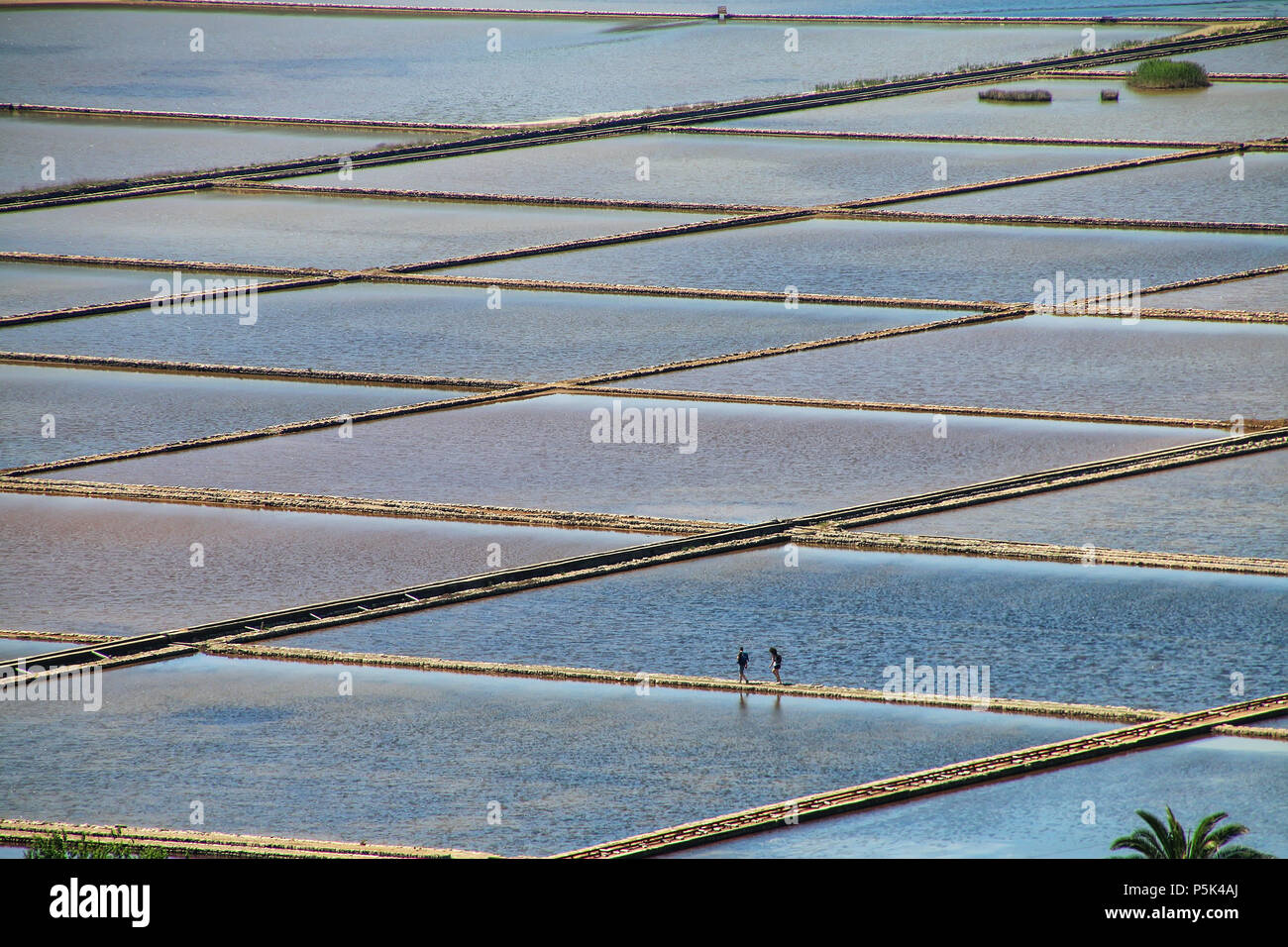 Salt pans in Ston town, Croatia. The Ston salt pans are the oldest in ...
