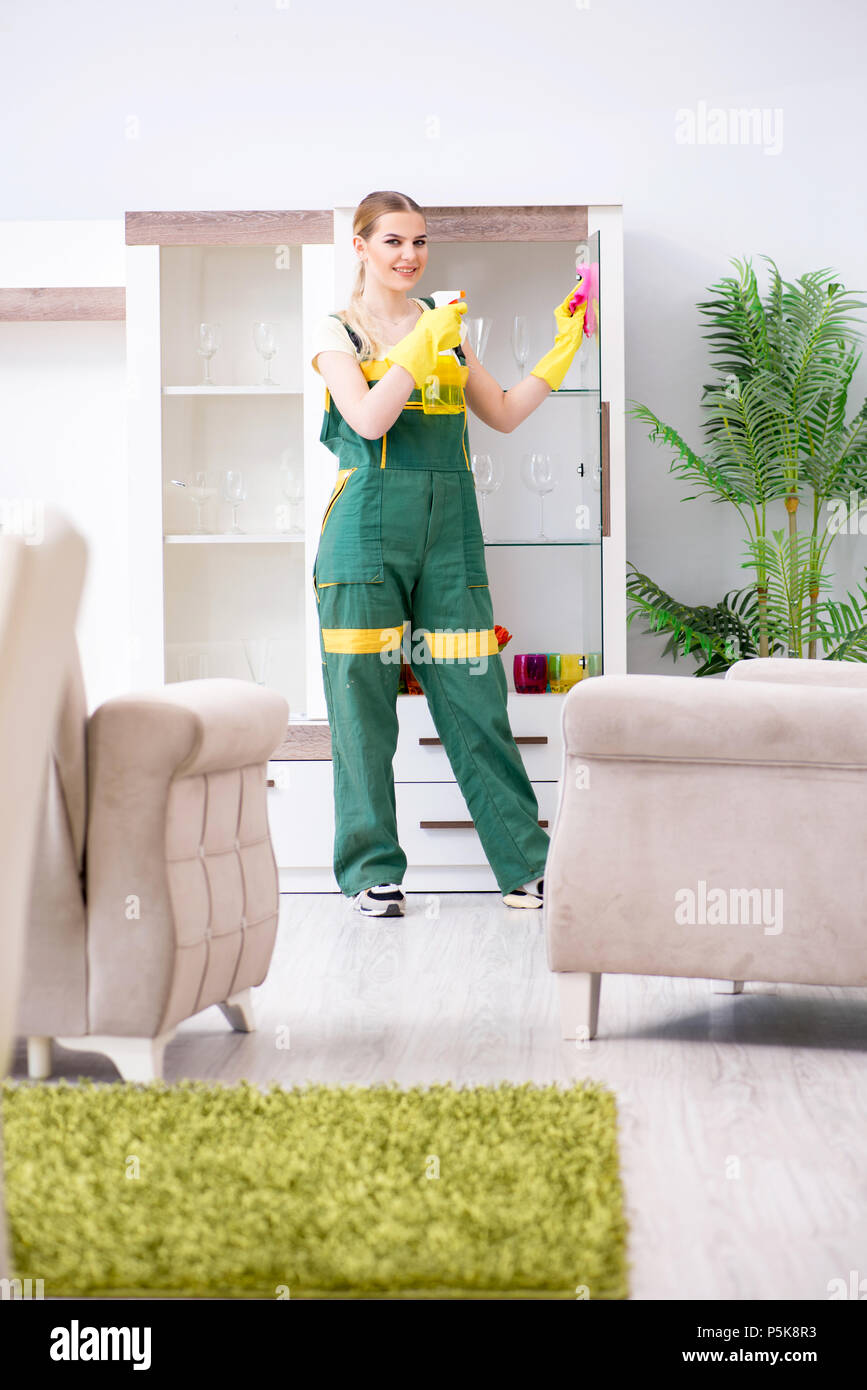 Professional cleaner cleaning apartment furniture Stock Photo - Alamy