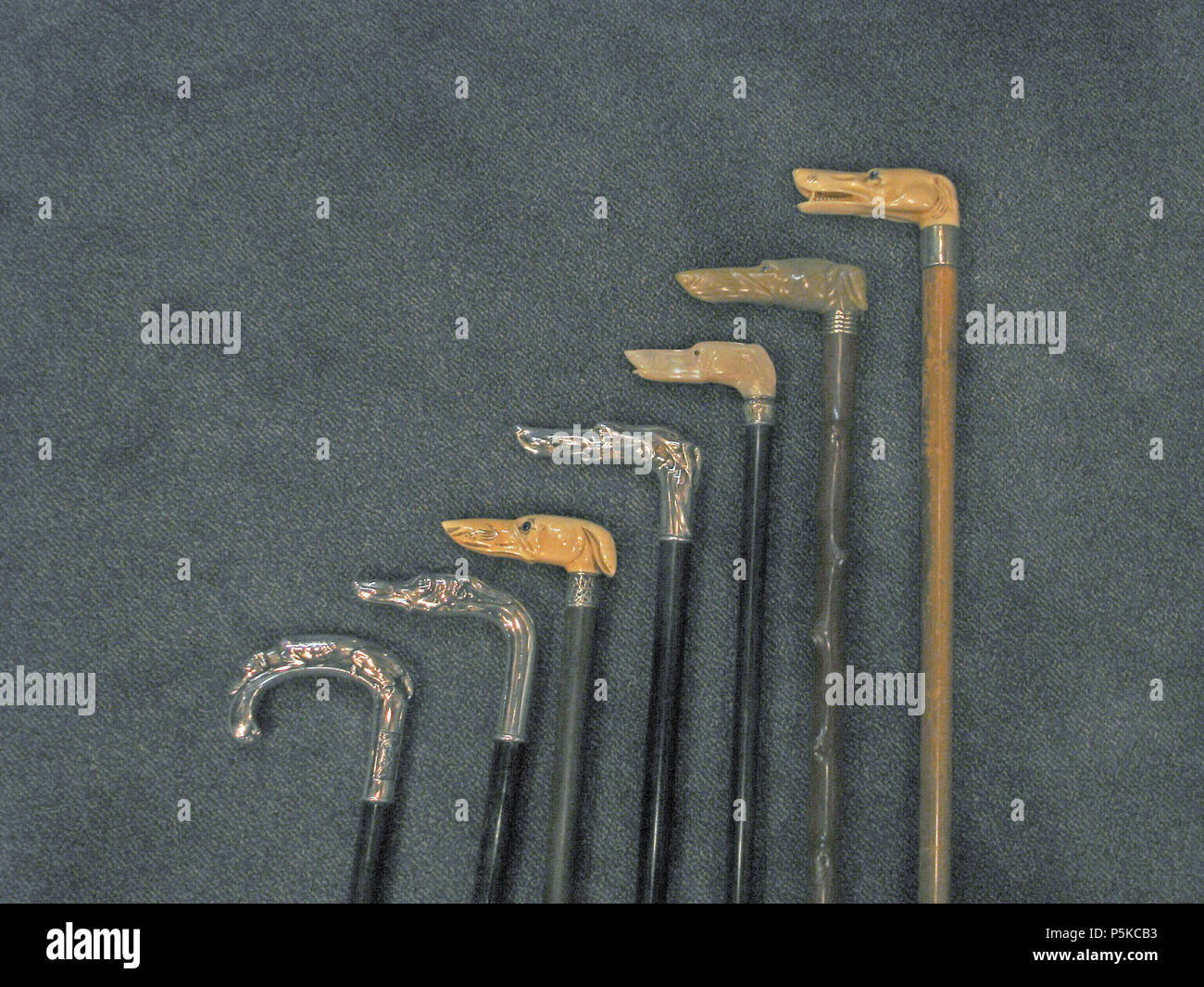 Canes with greyhound heads late 19th and early 20th C.. N/A 267 Canes ...