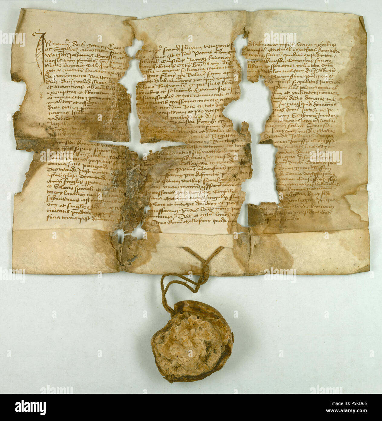 66 AGAD Burmistrz i rajcy miasta Leczycy potwierdzaja nadanie miastu ...