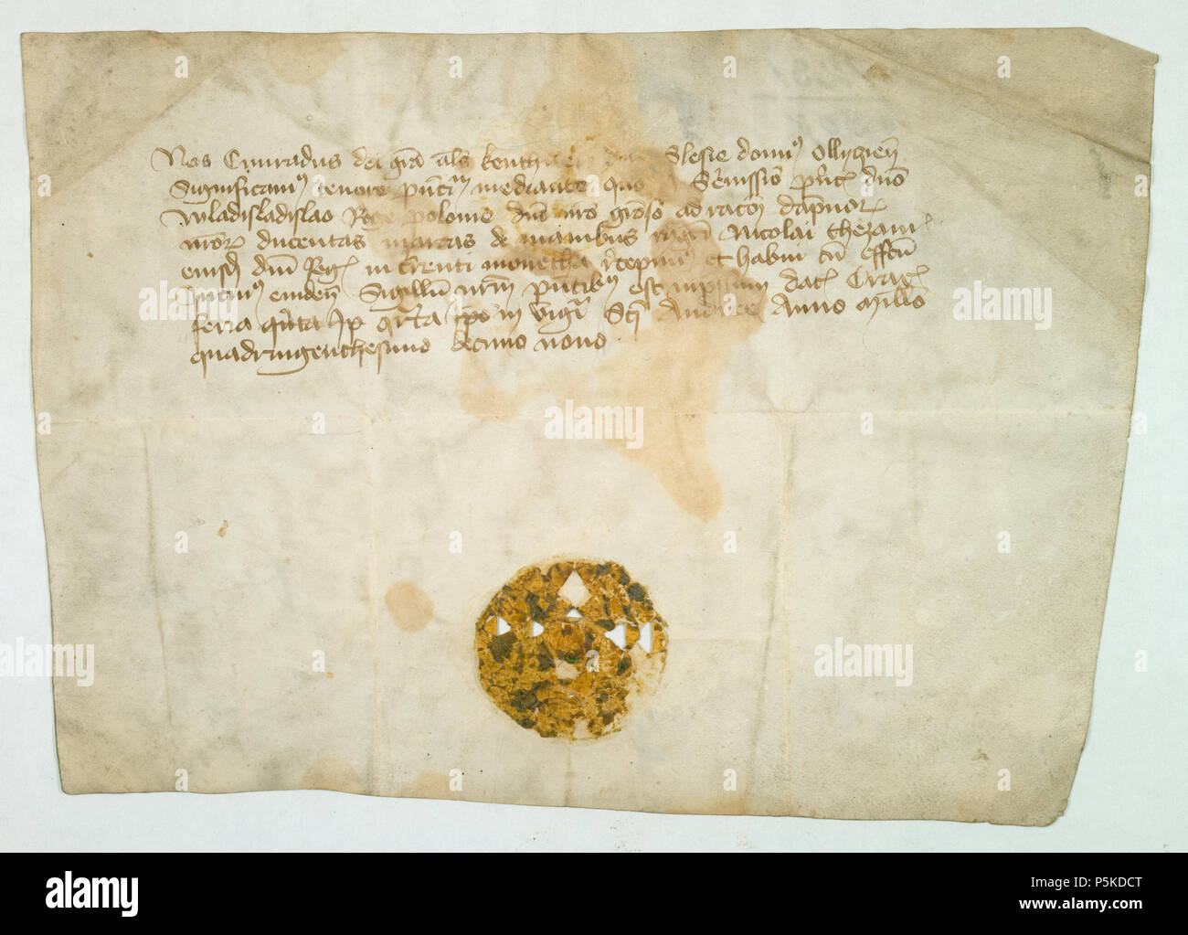 67 AGAD Konrad Kenthner, ksiaze olesnicki, oswiadcza, ze Wladyslaw ...