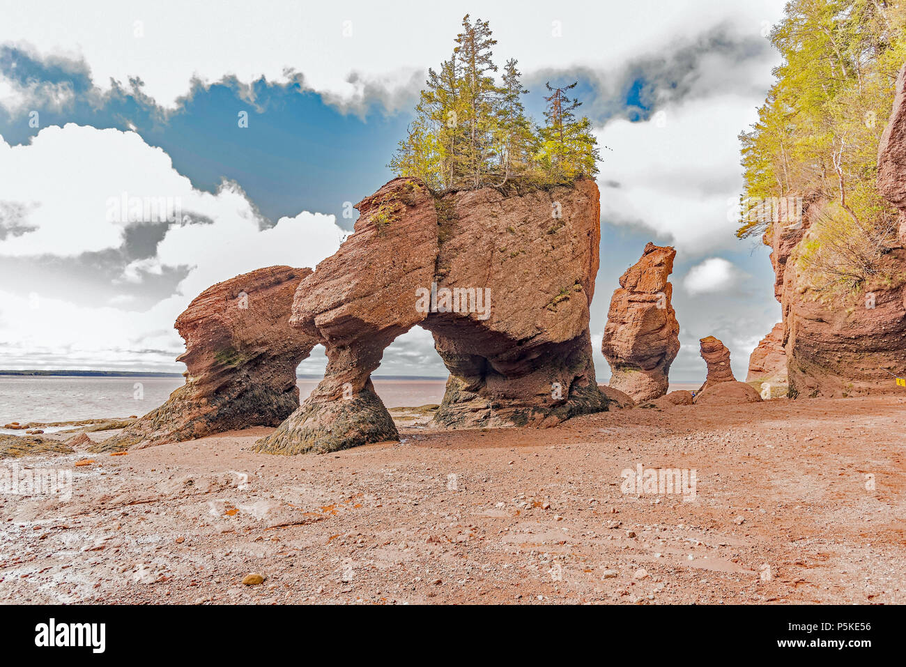 Hopewell Rocks - 'Flowerpots' - Bay of Fundy attraction Stock Photo - Alamy