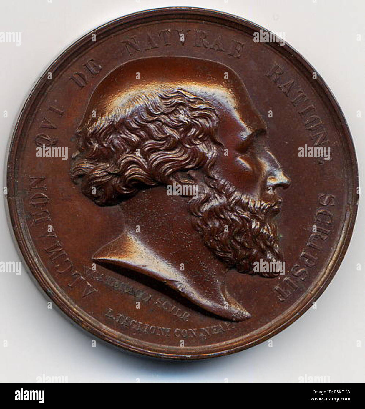 Alcmaeon croton hi-res stock photography and images - Alamy