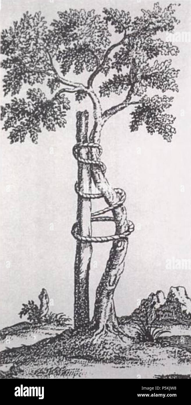 Andry hi-res stock photography and images - Alamy