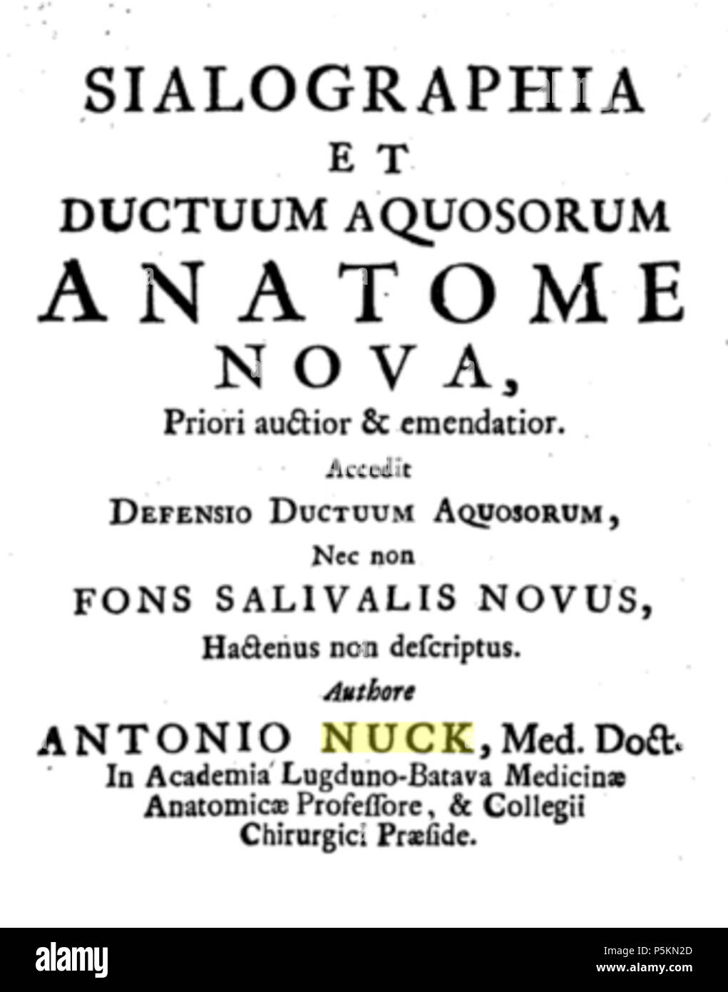 Nuck hi-res stock photography and images - Alamy