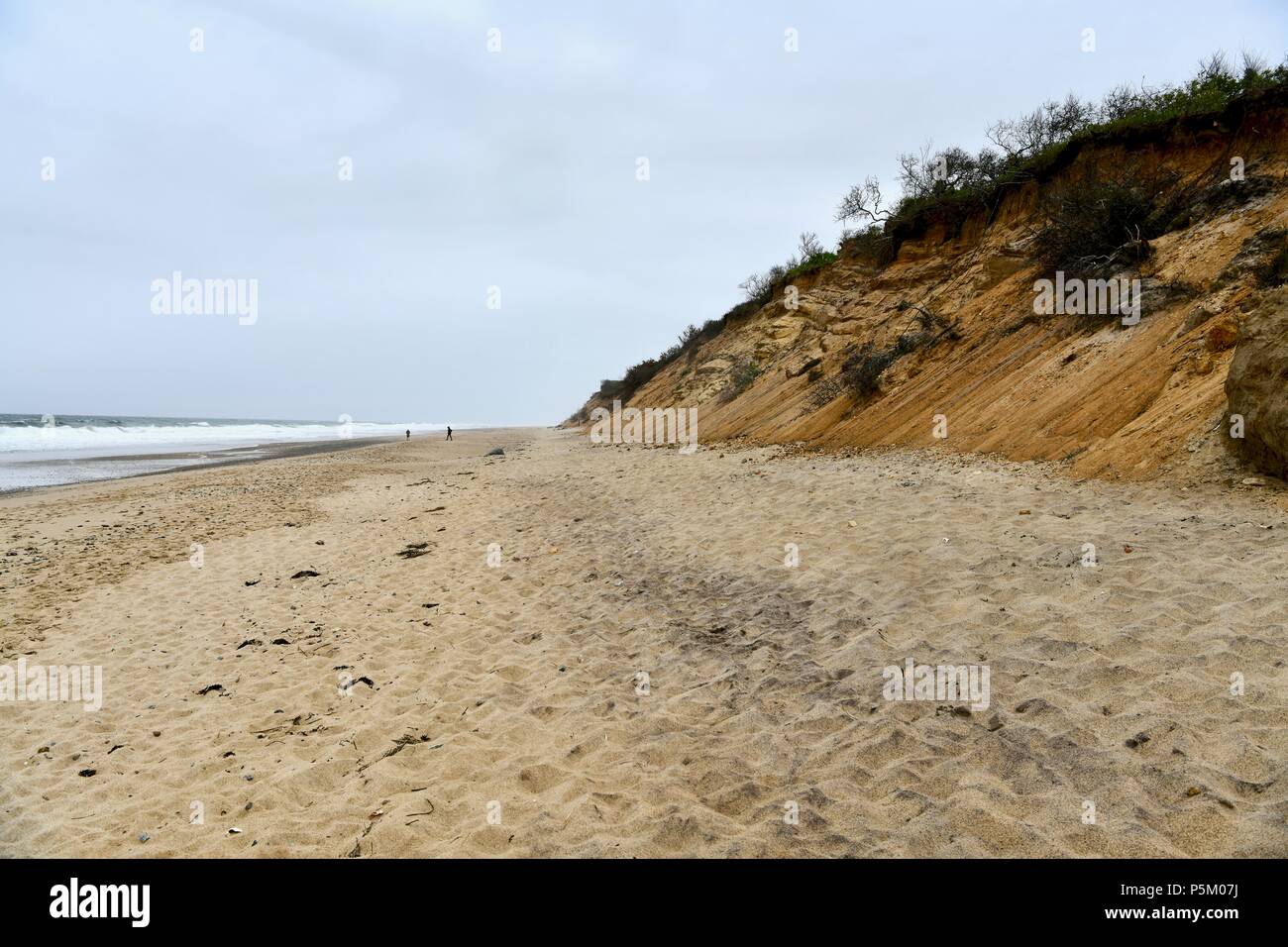 The Cape Cod National seashore viewed from Nauset Beach, Massachusetts ...