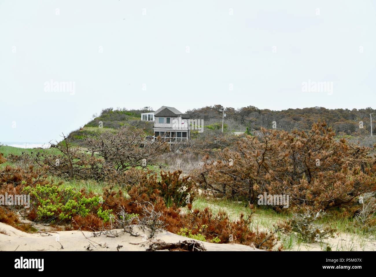 Cliff top overlooking beach hi-res stock photography and images - Alamy