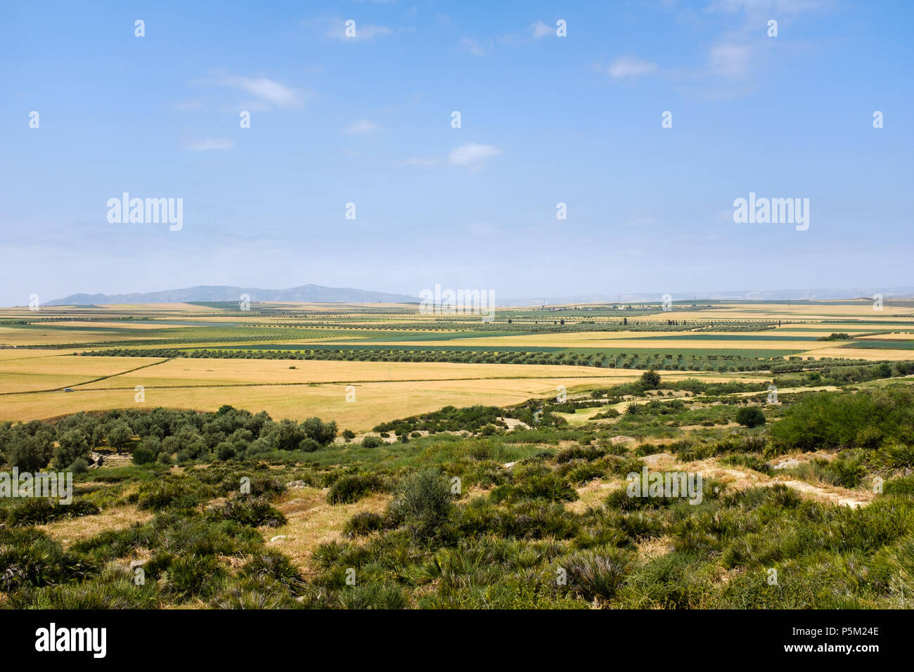 MEKNES, MOROCCO - CIRCA APRIL 2017: Countryside view of Morocco around ...