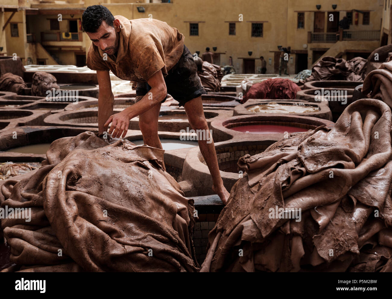 FEZ, MOROCCO - CIRCA APRIL 2017: Man working in the Fez tannery dyeing ...