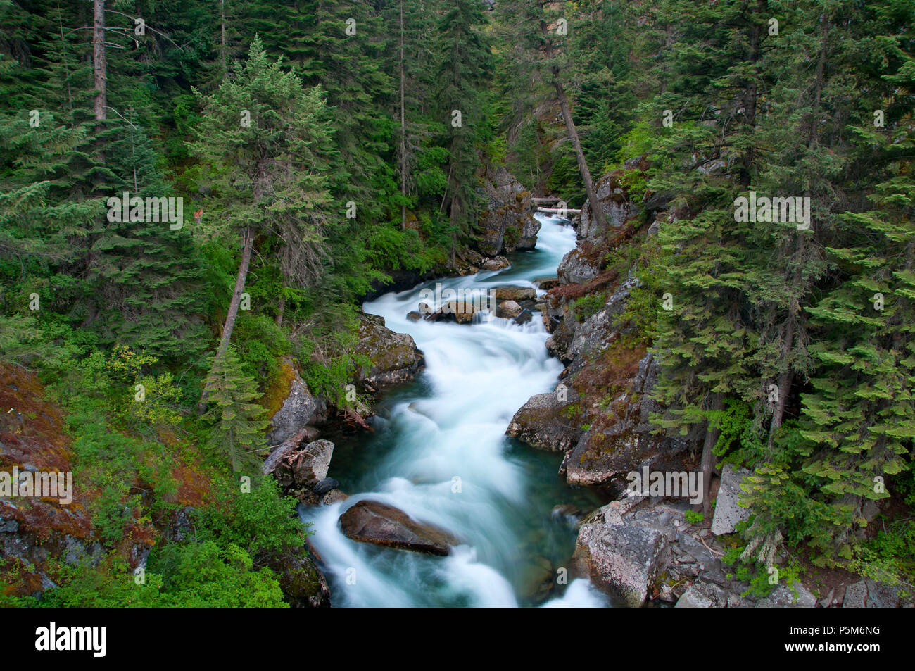 Lostine Wild and Scenic River at Pole Bridge, Wallowa-Whitman National ...