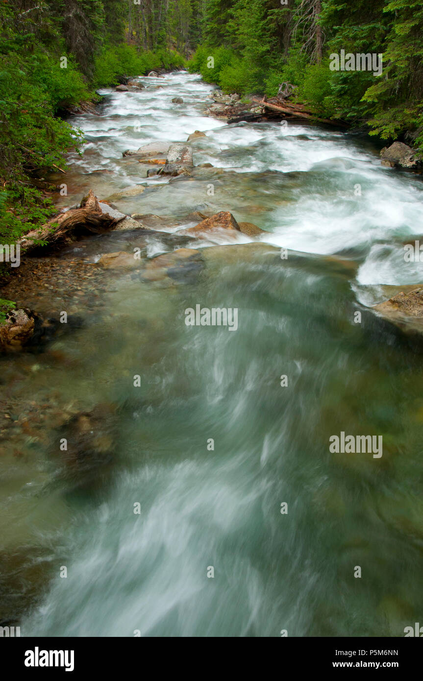 Lostine Wild and Scenic River, Wallowa-Whitman National Forest, Oregon ...