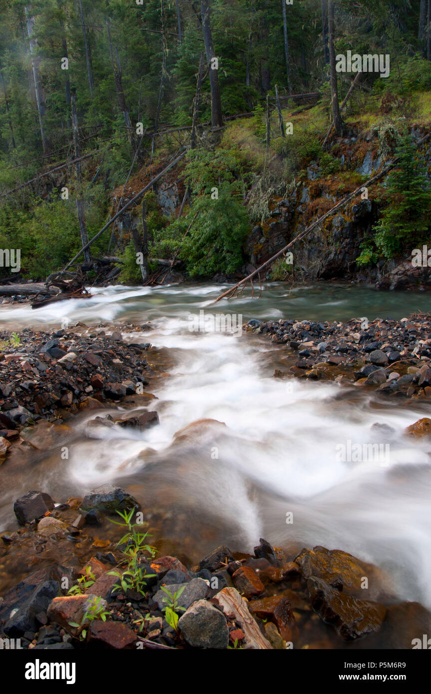 Hurricane Creek at Falls Creek confluence, Wallowa-Whitman National ...