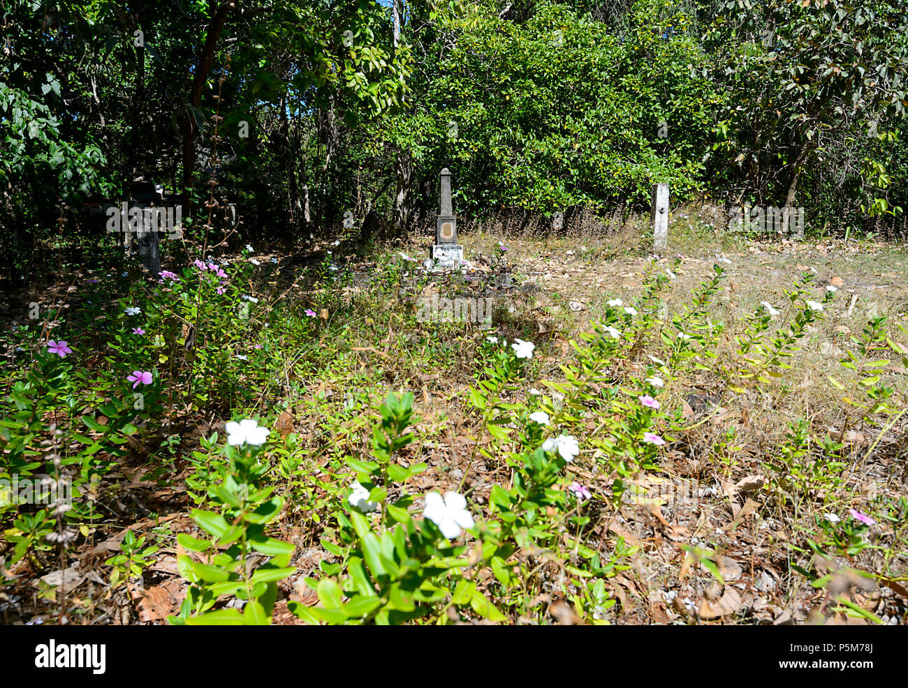 Somerset cemetery where the Jardine pioneers family is buried, Cape ...