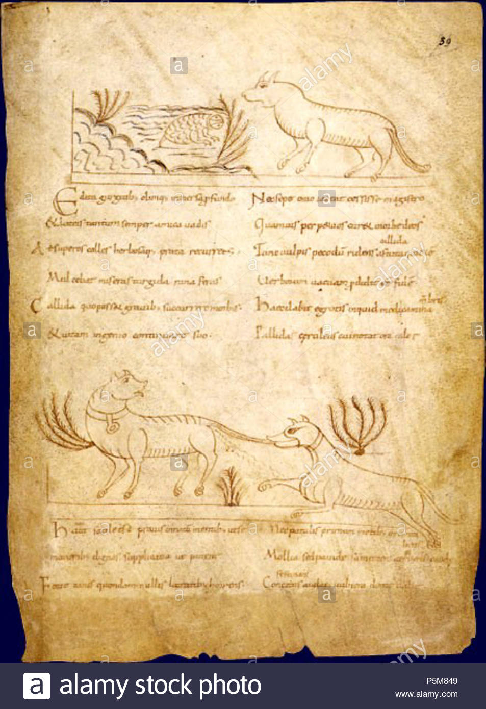 Latin Manuscript Stock Photos & Latin Manuscript Stock Images - Alamy