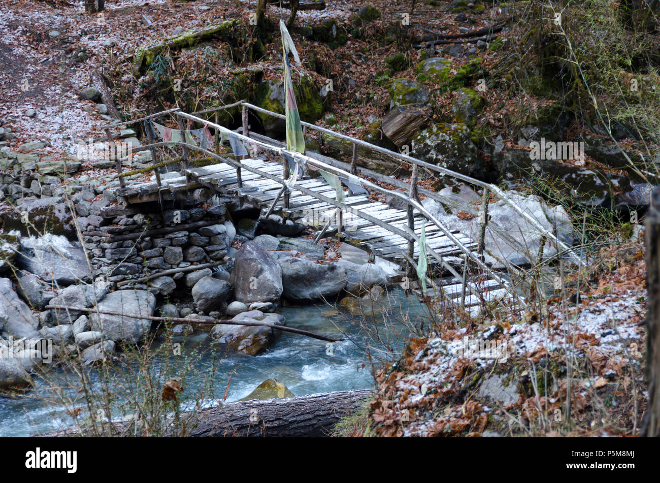 Traditional cantilever bridge over river, Woodlands, Langtang Valley ...