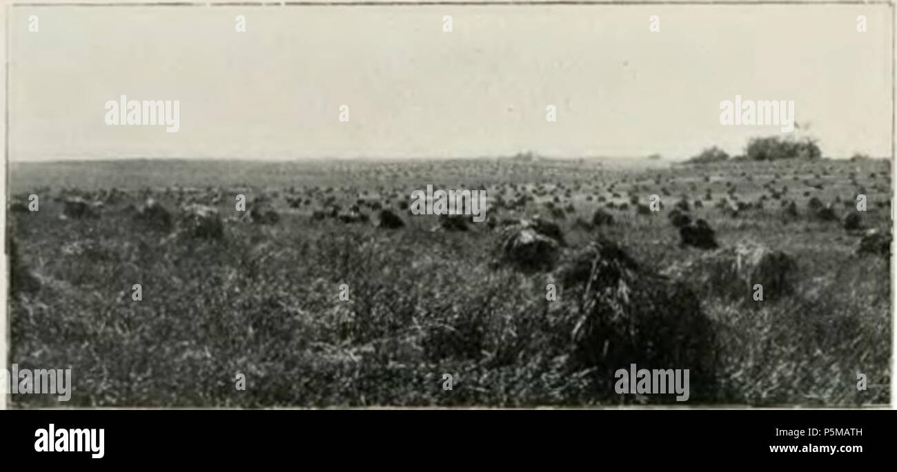 N/A. Illustration in History of Iowa From the Earliest Times to the ...