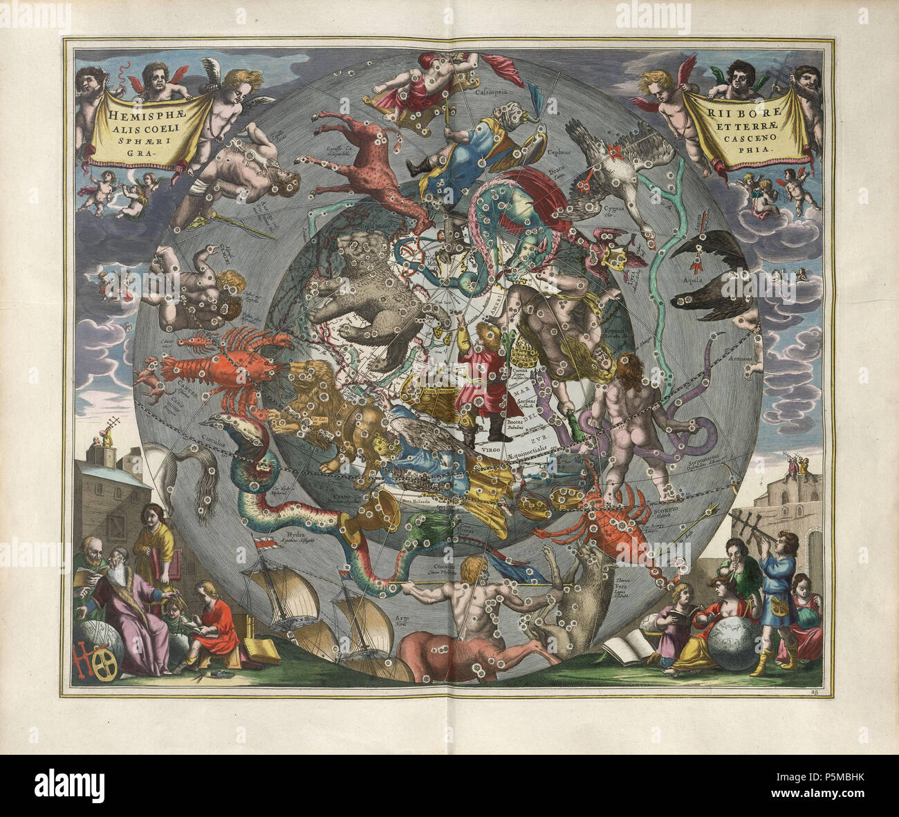 Andreas cellarius hi-res stock photography and images - Alamy