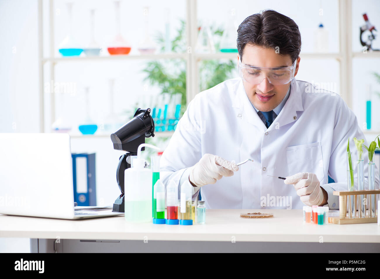 Male biochemist working in the lab on plants Stock Photo - Alamy