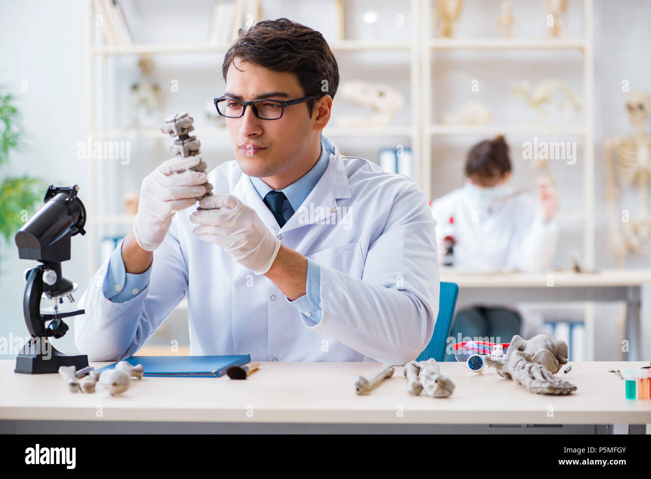 Professor studying human skeleton in lab Stock Photo - Alamy