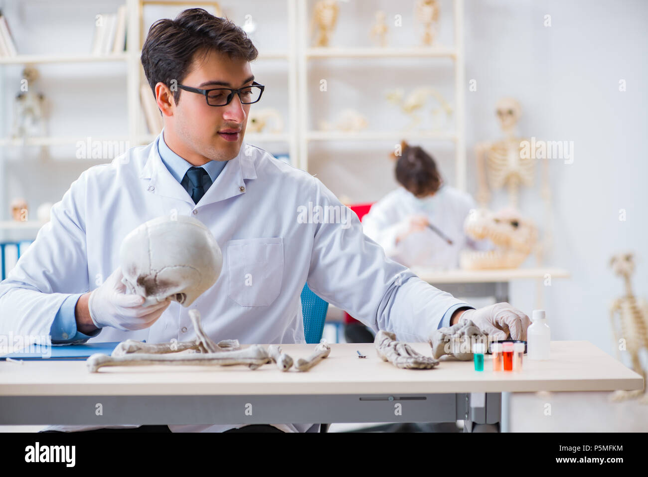 Professor studying human skeleton in lab Stock Photo - Alamy