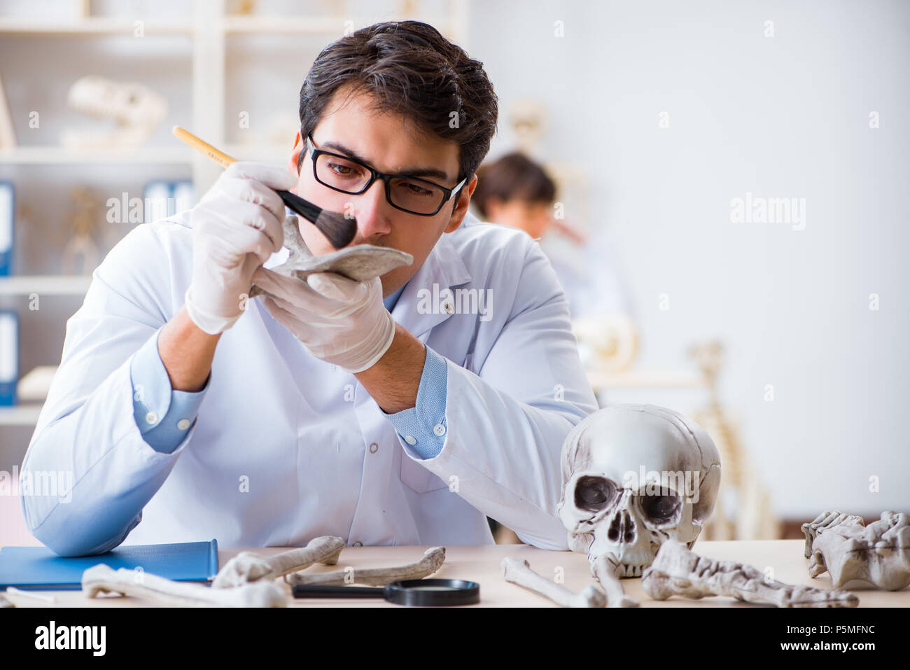 Professor studying human skeleton in lab Stock Photo - Alamy