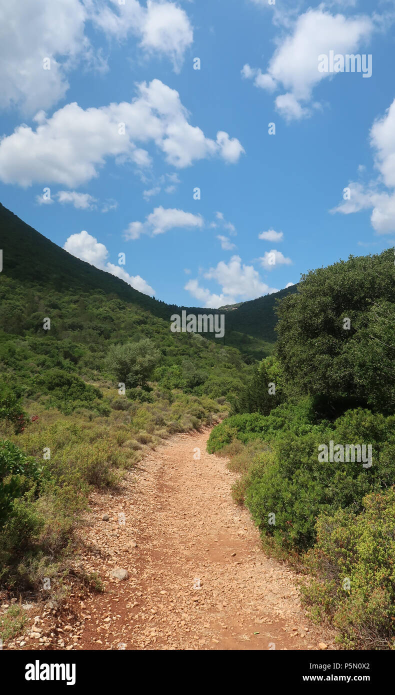 Dirt in nature hi-res stock photography and images - Alamy