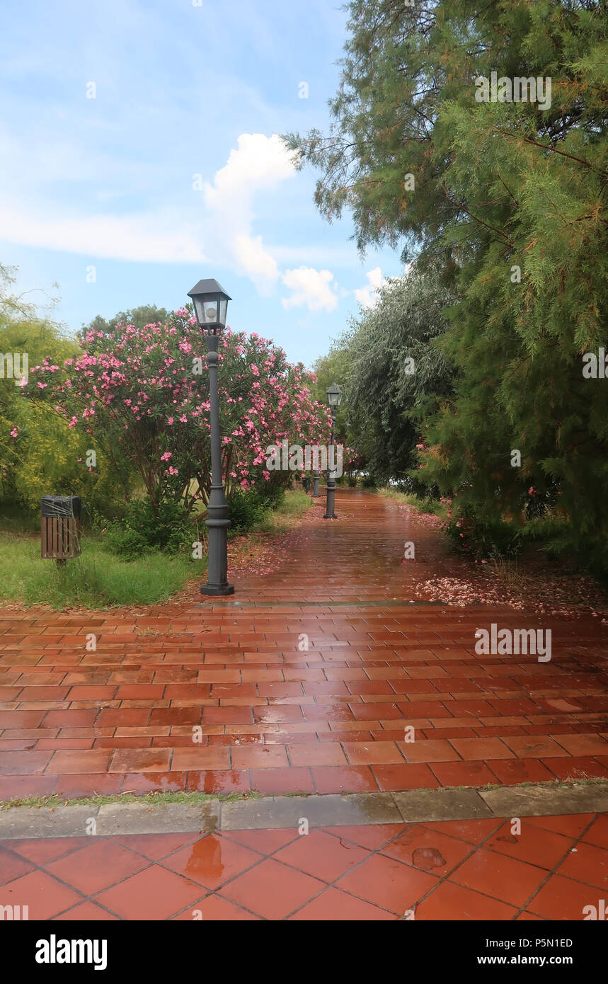Wet path hi-res stock photography and images - Alamy