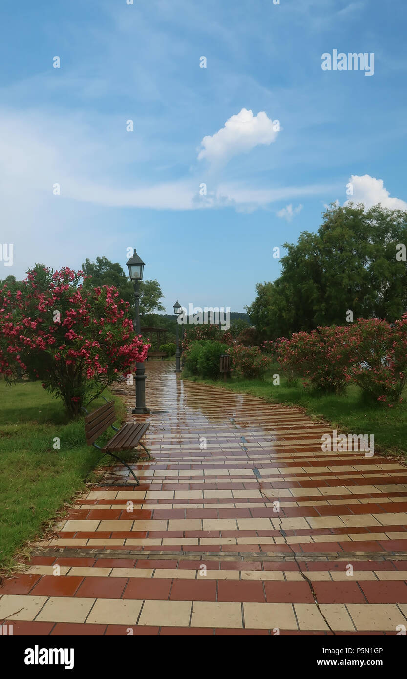 Wet path hi-res stock photography and images - Alamy