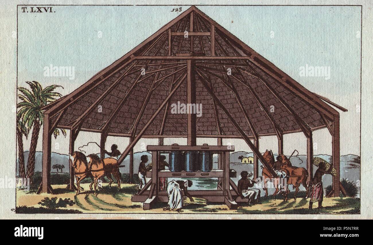 Sugar Plantations In Colonial Virginia