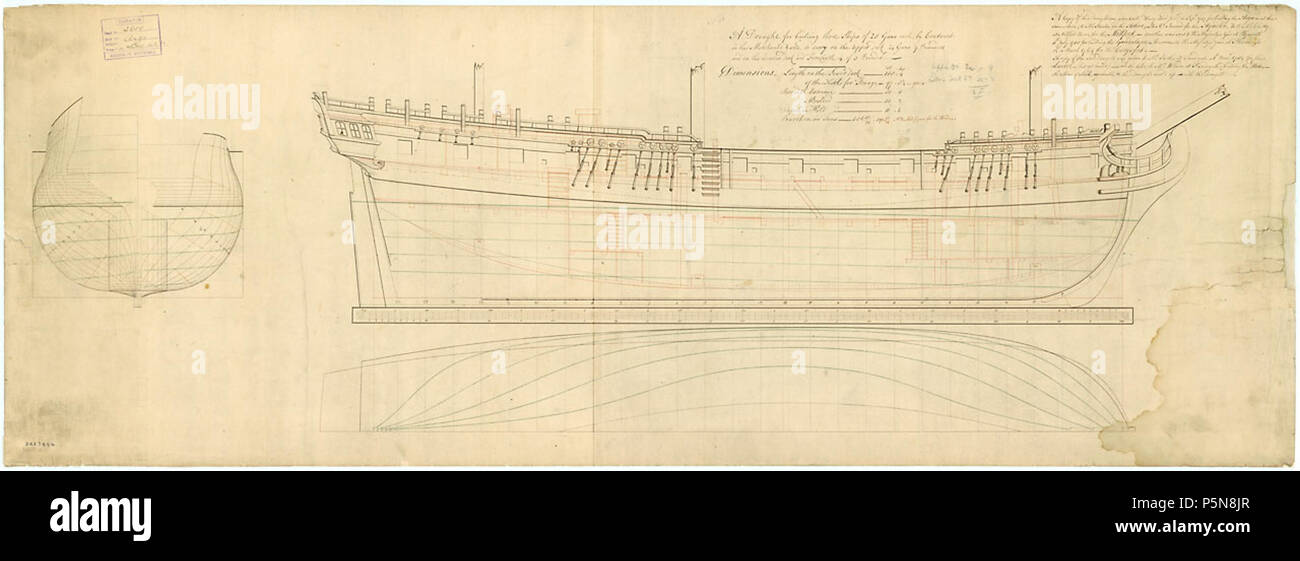 Hind body hi-res stock photography and images - Alamy