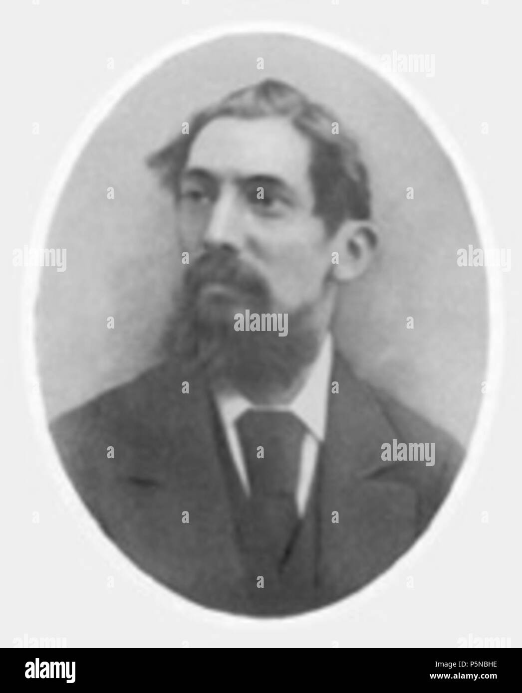 Hortus veitchii hi-res stock photography and images - Alamy