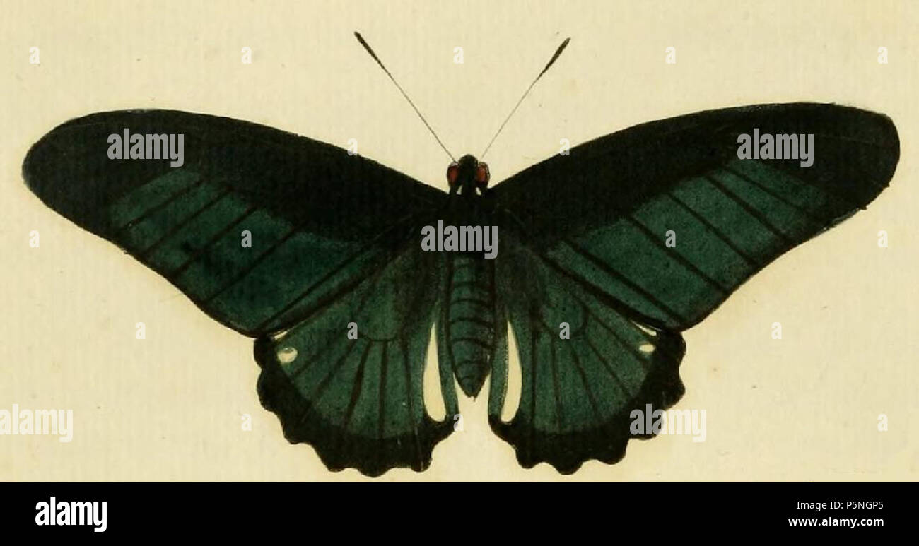 Lycidas hi-res stock photography and images - Alamy