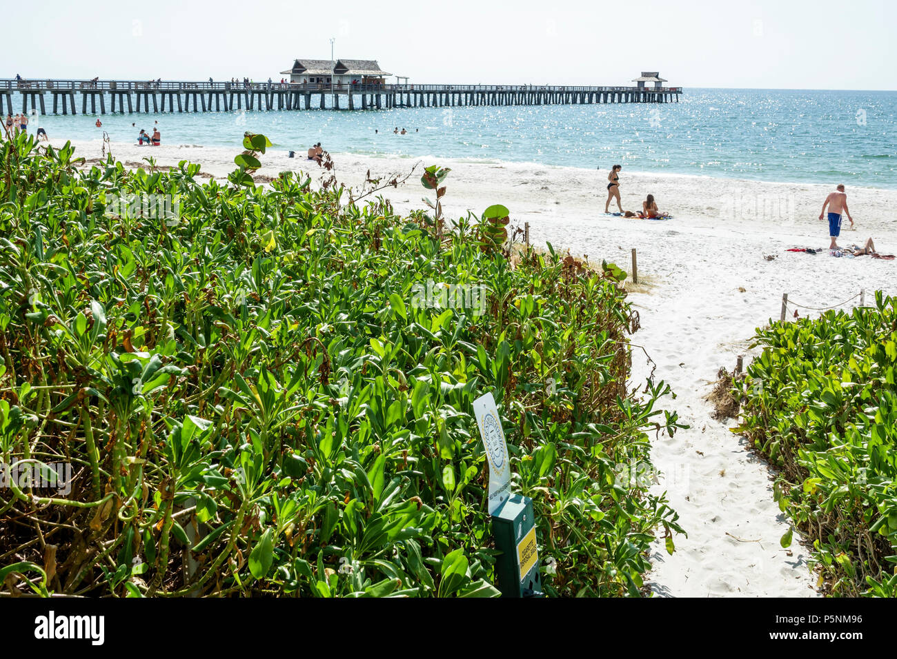 Naples Florida,pier,Gulf of Mexico,beach beaches,sand,dune,water ...
