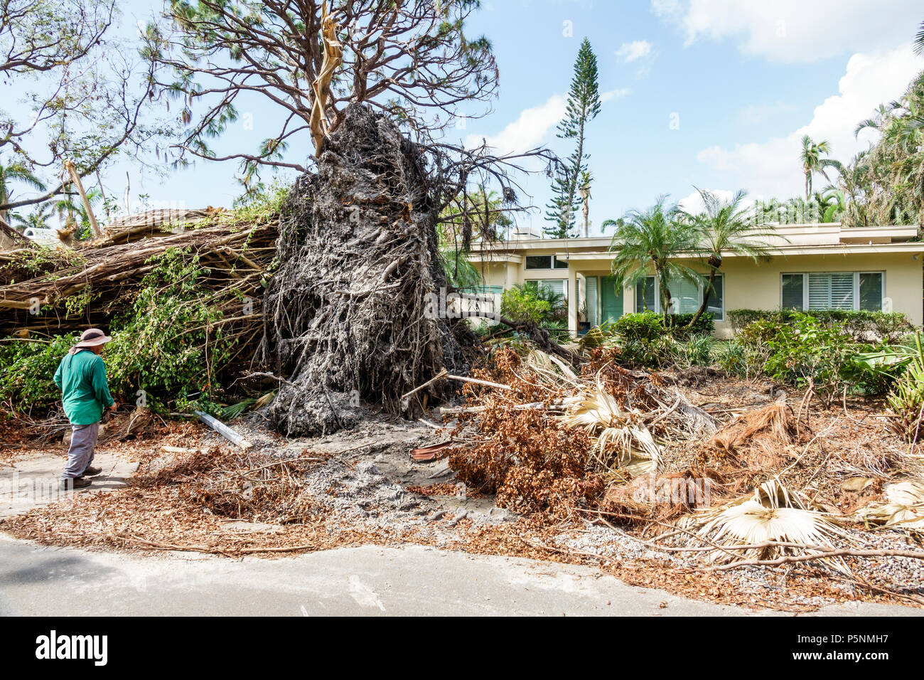 Naples Florida,Crayton Road,Hurricane Irma,wind damage destruction ...