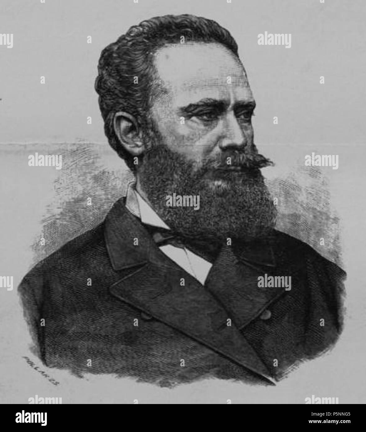 Hungarian traditional folk instrument hi-res stock photography and ...