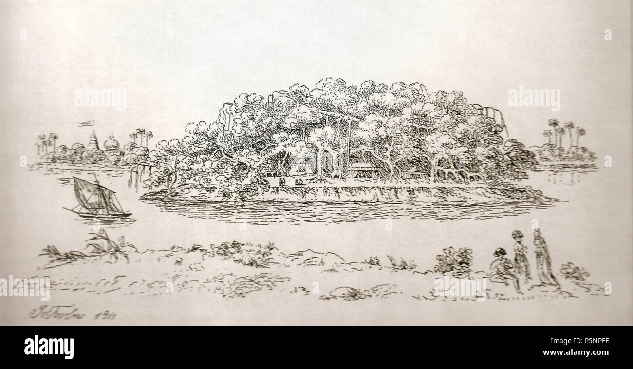 Burr island hi-res stock photography and images - Alamy