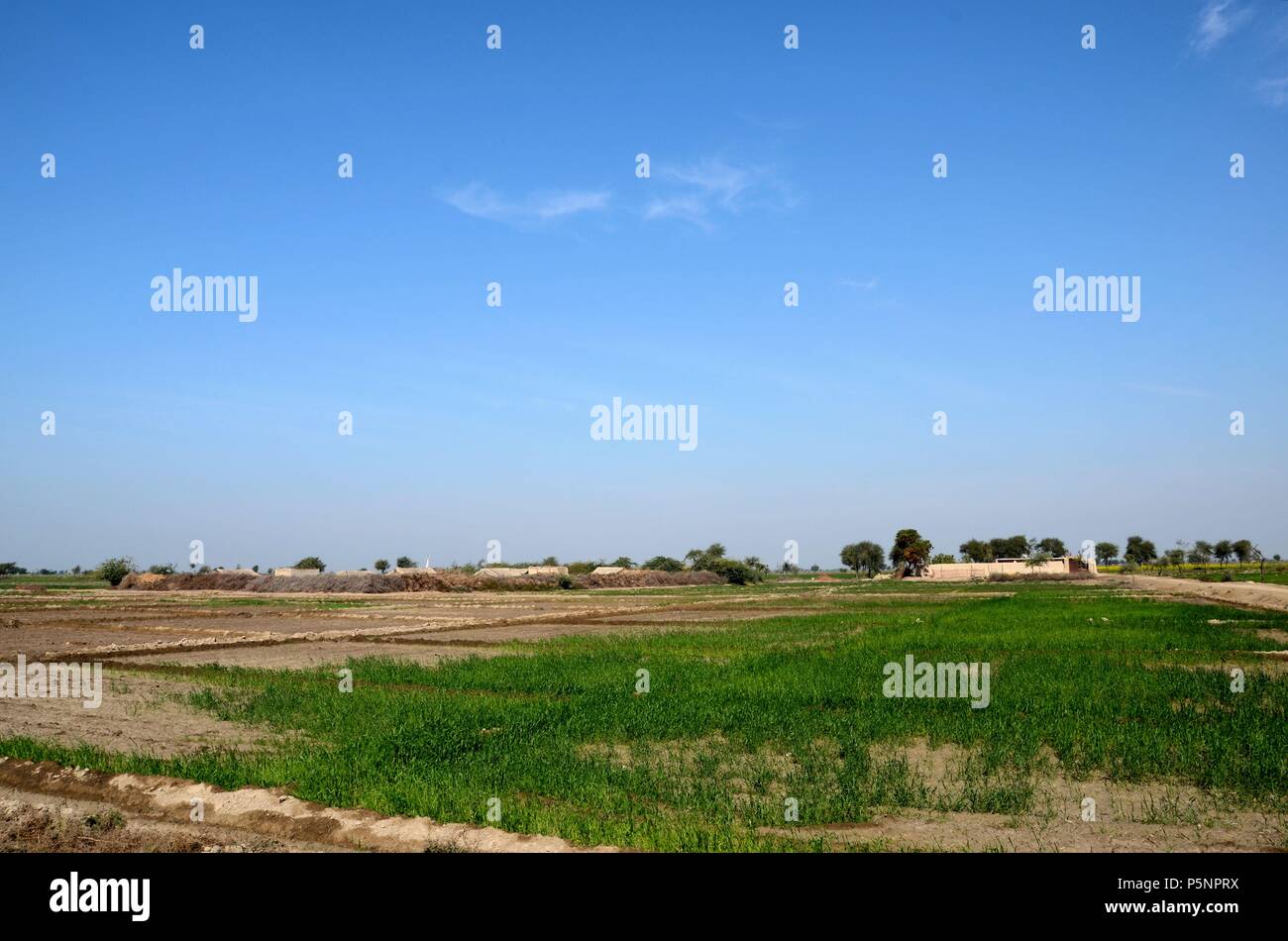 Sindh landscape hi-res stock photography and images - Alamy