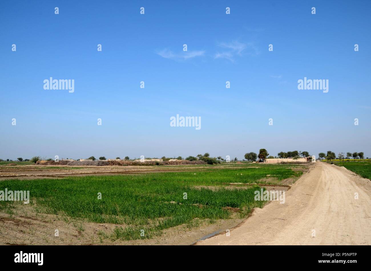 Sindh landscape hi-res stock photography and images - Alamy
