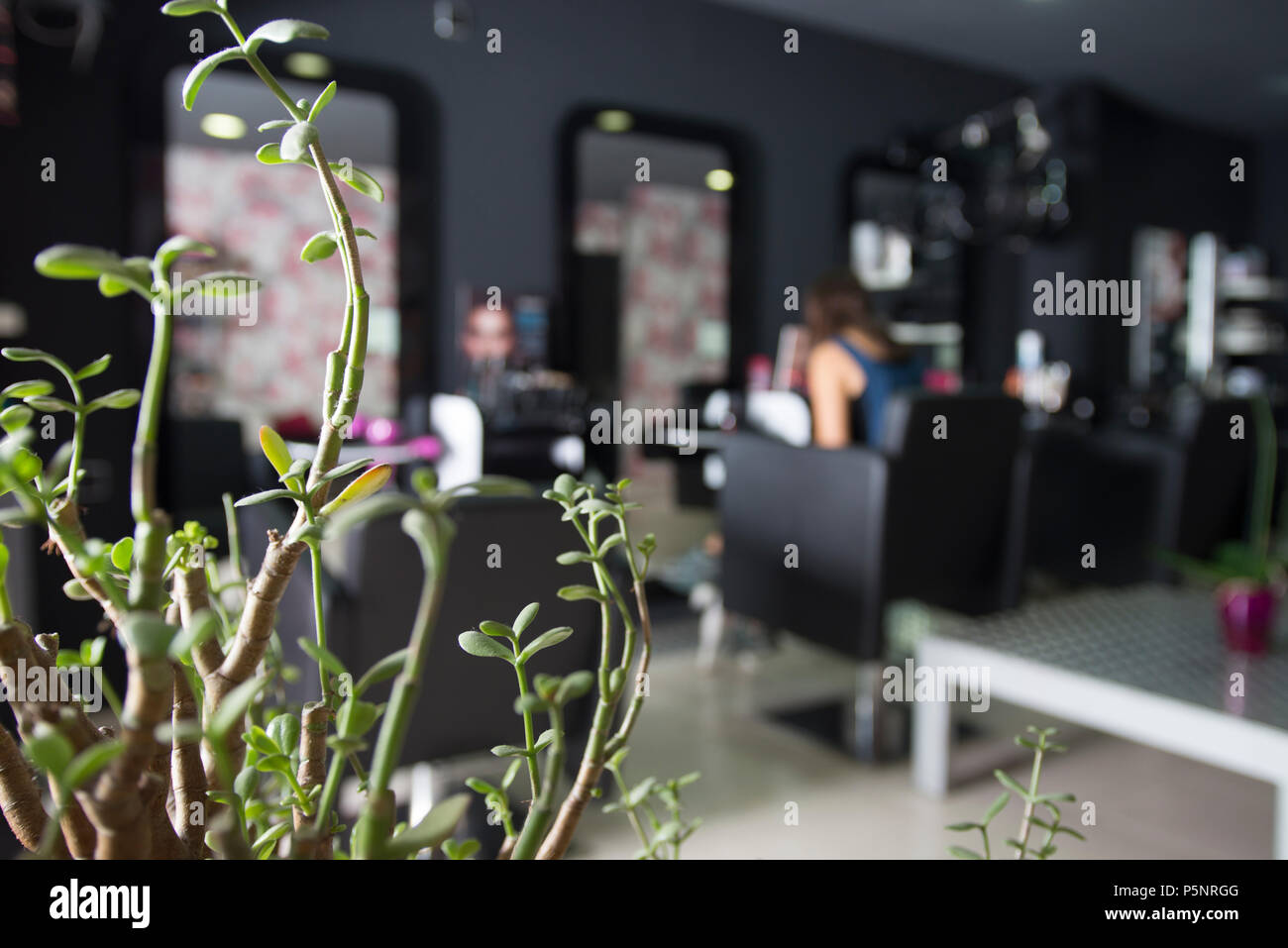 a Hairdresser saloon background ( real business Stock Photo - Alamy