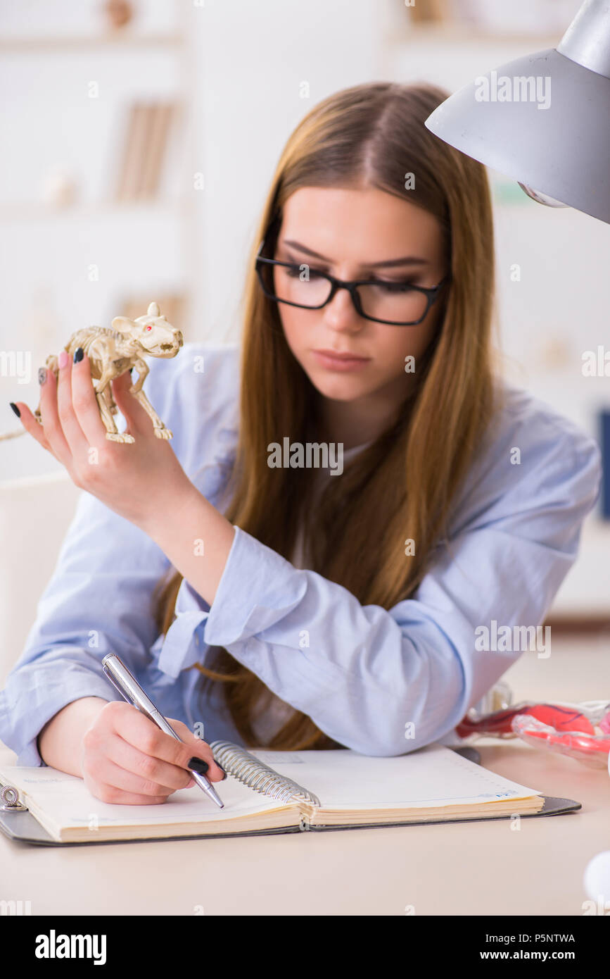 Student examining animal skeleton in classroom Stock Photo - Alamy